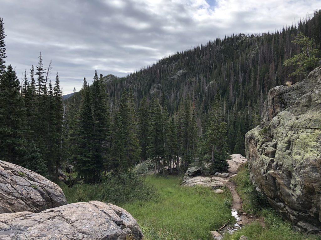 The Antidepressant that is Colorado: How Leaving the Isolation Nest ...